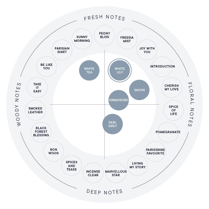 화이트 릴리 바디 오일